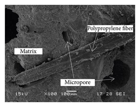 Scanning Chart Of Three Different Factors And The Transition Zone Of