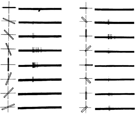 Orientation Selective Responses Of Simple Cells In Cat Visual Cortex Download Scientific