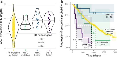 Myc Translocation Fusion Partners And Survival Differences Amyc