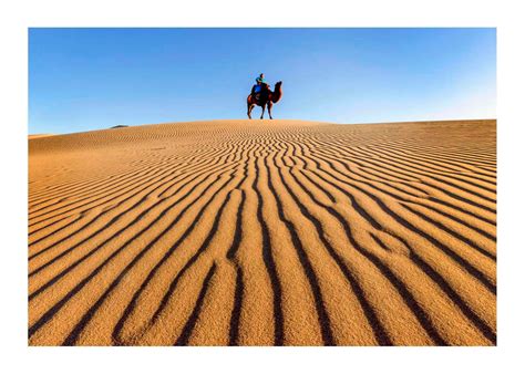 Монголын говь гэрэл зурагчдын хорхойг хүргэж байна