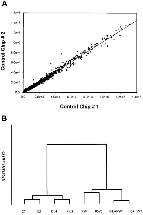 Analysis Of Genechip Data Set A Reproducibility Of Hybridization