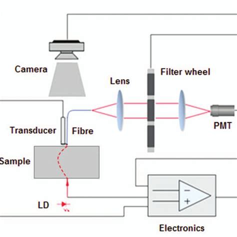 Schematic Of This Dual Modality Imaging System Download Scientific Diagram