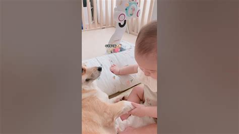 애개육아중🐶👶🏻🤍 Shorts Youtube