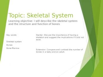 Lesson 1 Skeletal System By TeachEasy4Teachers TPT