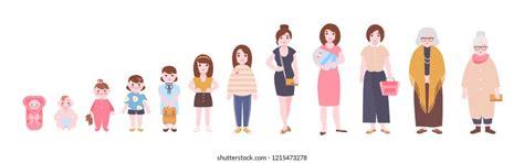 Life Cycle Woman Visualization Stages Female Stock Vector Royalty Free 1215473278 Shutterstock