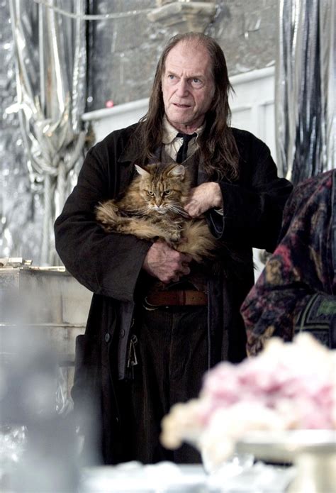 Mrs Norris Harry Potter Wiki Wikia
