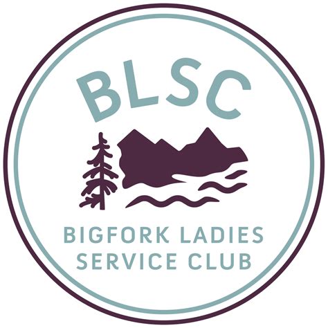 3 Blsc Decal Montana 35