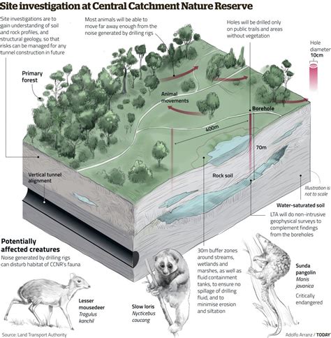 CRL Infographic Today Land Transport Guru