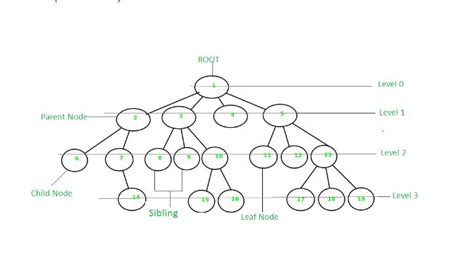 jayalakshmi inakonda on linkedin dsa day 38 tree terminologies node a node is an entity