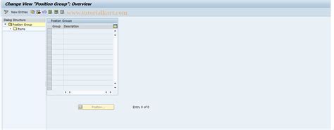 RM SAP Tcode RM Position Groups Transaction Code