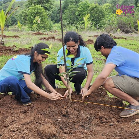 The Cybage Foundation