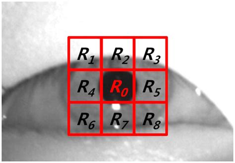 Assessment Of Eye Fatigue Caused By 3d Displays Based On Multimodal Measurements