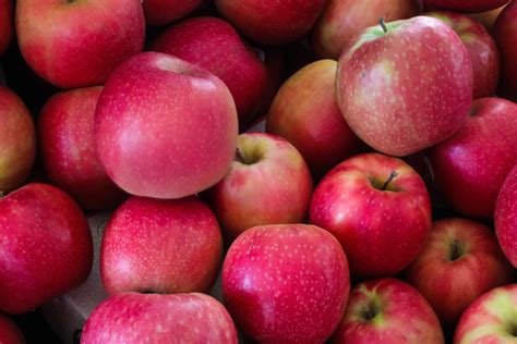 Pink Lady La Pomme Qui Voit La Vie En Rose Délices