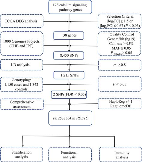 Flow Diagram Of Snp Selection The Workflow Of The Analysis Includes
