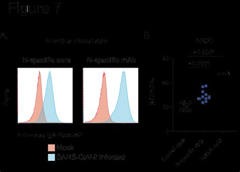 N Specific Antibodies Bind To Infected Cells And Trigger Adcc A Download Scientific Diagram