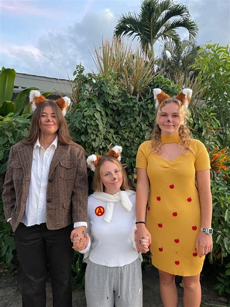 Fantastic Mr Fox Halloween Costume