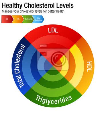 Total Blood Cholesterol Hdl Ldl Triglycerides Chart Posters For The