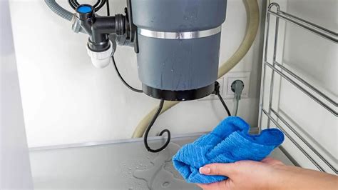 Garbage Disposal Smell Solutions Motor City Plumbing And Drain