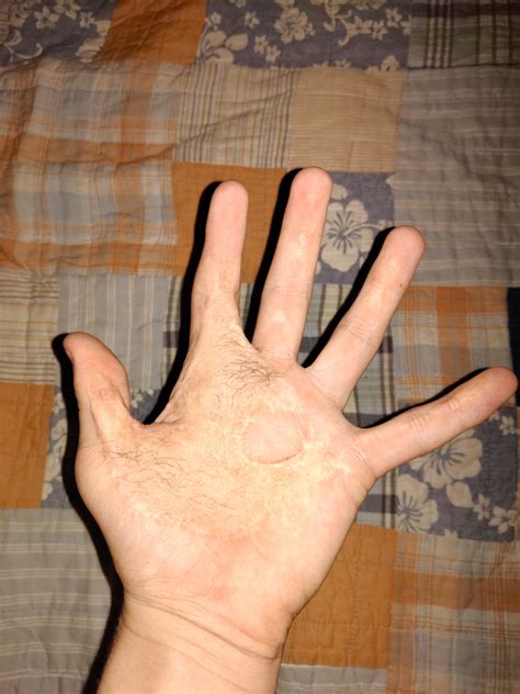 Submitted By Gavriloprincip1