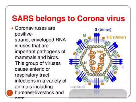 Epidemiology Of Sars Pptx