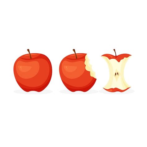 Premium Vector Full Bitten Half Of Apple And Apple Peeper Cartoon