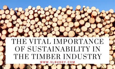The Vital Importance Of Sustainability In Timber Industry