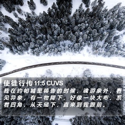 使 徒 行 传 11 5 Cuvs 我 在 约 帕 城 里 祷 告 的 时 候