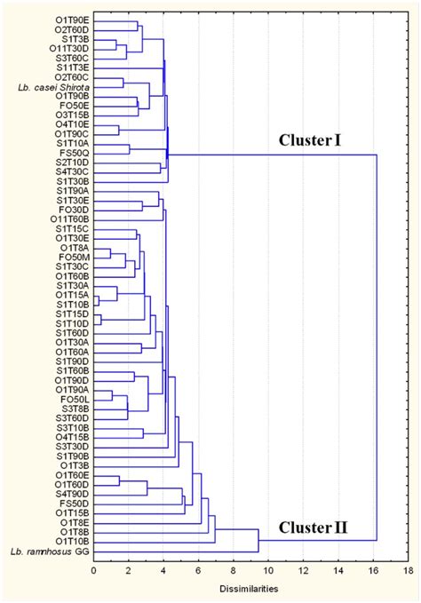 Dendrogram Resulting From The Hierarchical Cluster Analysis Hca Of