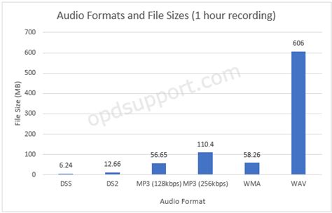 File Size Comparison Professional Audio Support