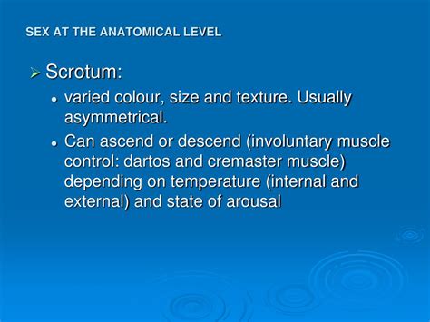 PPT SEX AT THE ANATOMICAL LEVEL PowerPoint Presentation Free Download ID 330022