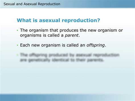 Solution Sexual And Asexual Reproduction Notes Studypool