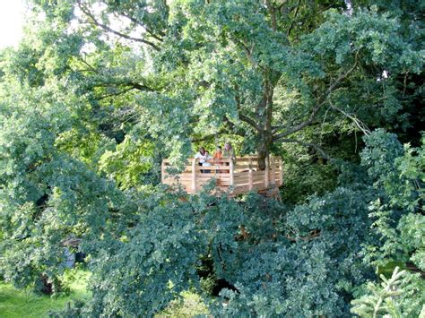 La Malin învăţaţi Să Construiţi “căsuţa Din Copac” Timponline Ro