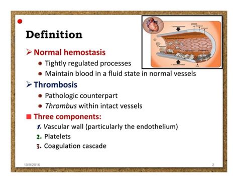 Normal Hemostasis And Coagulation Ppt