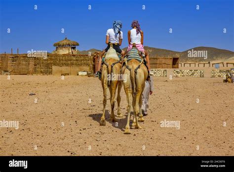 Girls Riding Camel In The Egyptian Desert Stock Photo Alamy