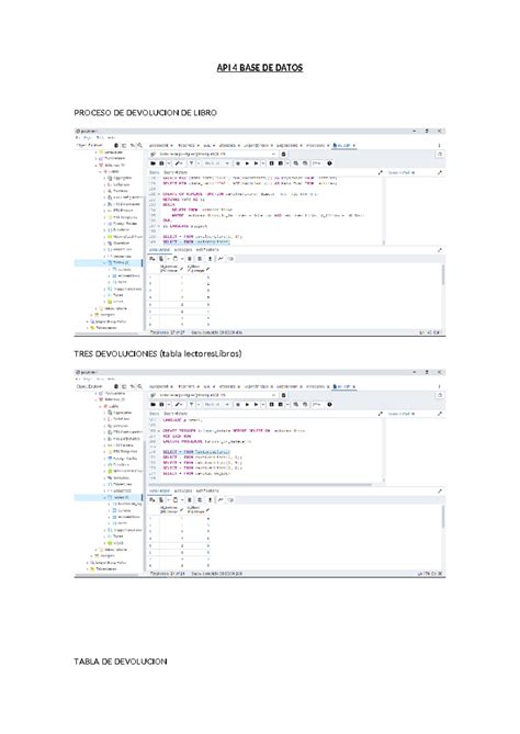 Api 4 Base De Datos Api 4 Bd Base De Datos Api 4 Base De Datos Proceso De Devolucion De