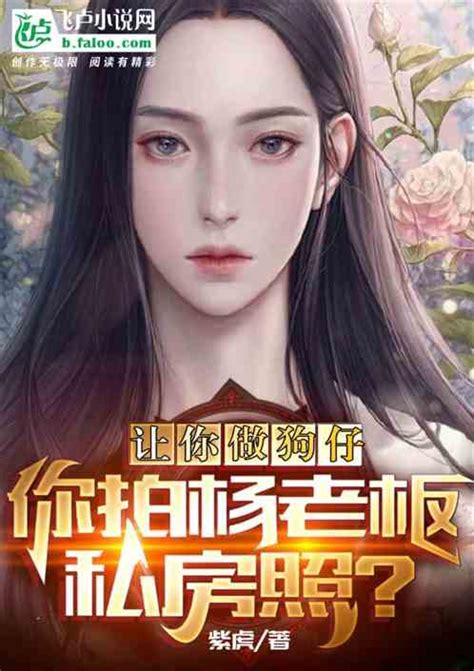 让你做狗仔，你拍杨老板私房照？紫虎小说全本小说下载飞卢小说网