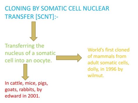 Cloning In Mammals By Nuclear Transfer Technique Pptx