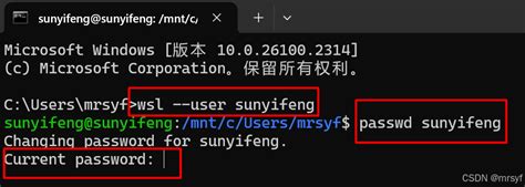 Windows的wsl Ubuntu子系统重置root或其他用户的密码wsl Root密码 Csdn博客