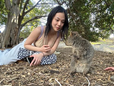 쿼카 보러간 비비 Bibi