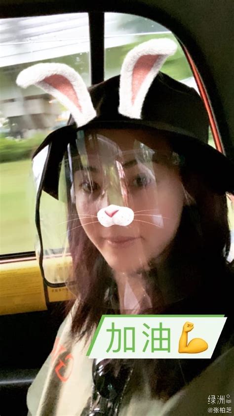 张柏芝绿洲素颜自拍兔子特效可爱 戴防护帽超严密手机新浪网