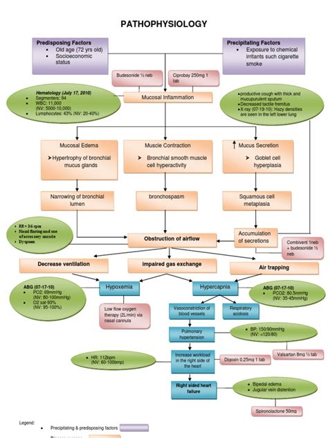 Copd Pathophysiology Diagram Pdf