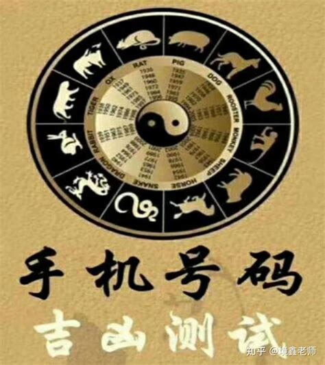 绝命加五鬼磁场 组合能量分析 知乎
