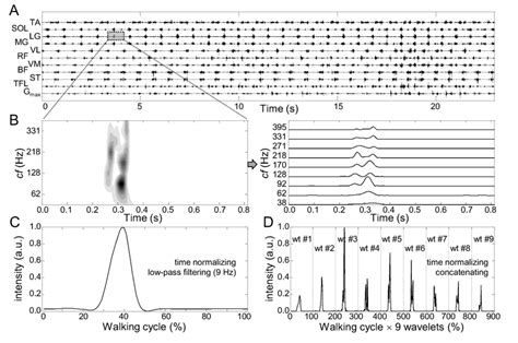 Representative Individual Example Of Surface Emg Signals Processing In Download Scientific