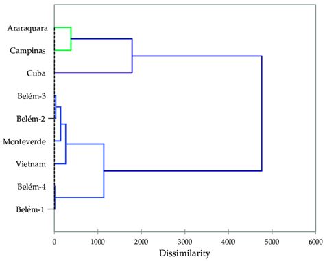 agglomerative hierarchical cluster analysis based on the major