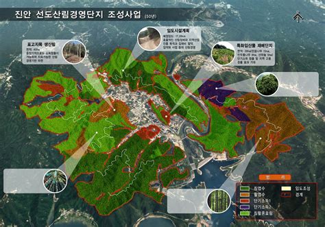 배치 안내도 레이스튜디오