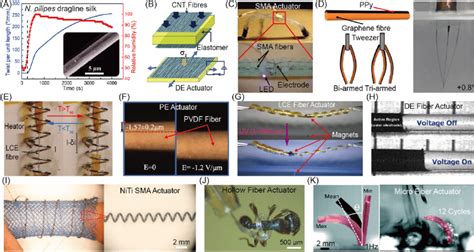 Various Soft Robots Enabled By Fibrous Materials A A Torsional