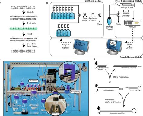 Randd Demonstration Of End To End Automation Of Dna Storage Storagenewsletter