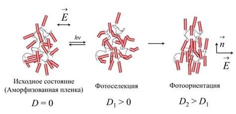 Schematic Representation Of Photoinduced Anisotropy D Appearance In