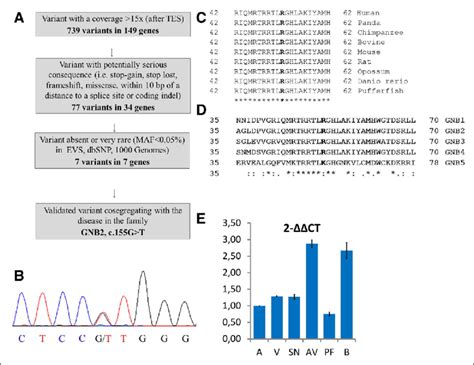 A Results From Targeted Exome Sequencing Tes Of Genes On Chromosome Download Scientific