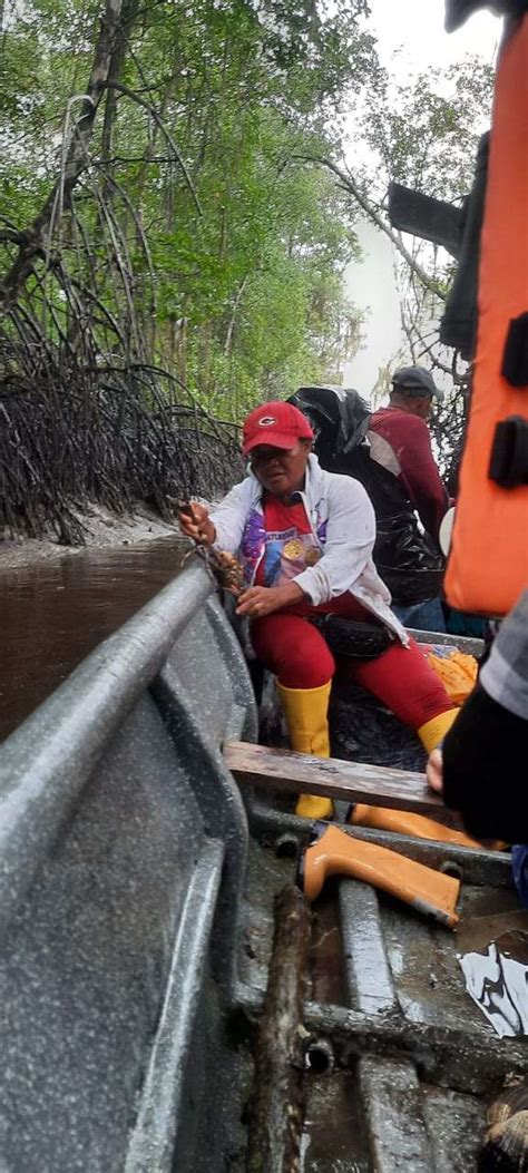 Conoce En 1 Día La Ruta Del Manglar En Tumaco Nariño